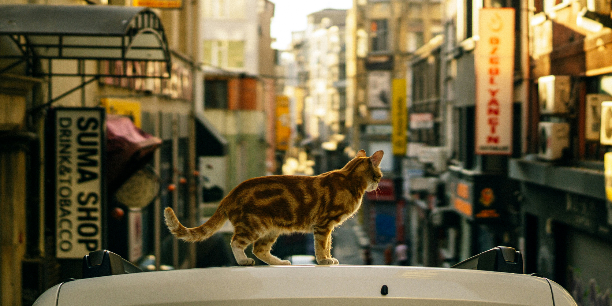 The problem – Positive Cities